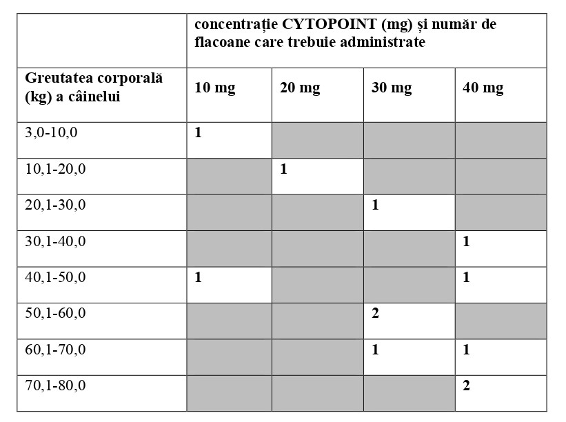 Dermatita atopica la caine - Veterinar la domiciliu Bucuresti