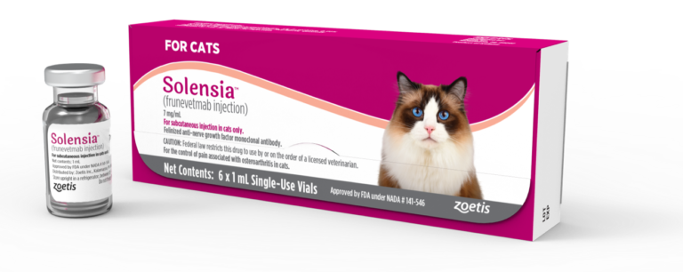 Solensia – amelioreaza durerea asociata cu osteoartrita la pisici ...